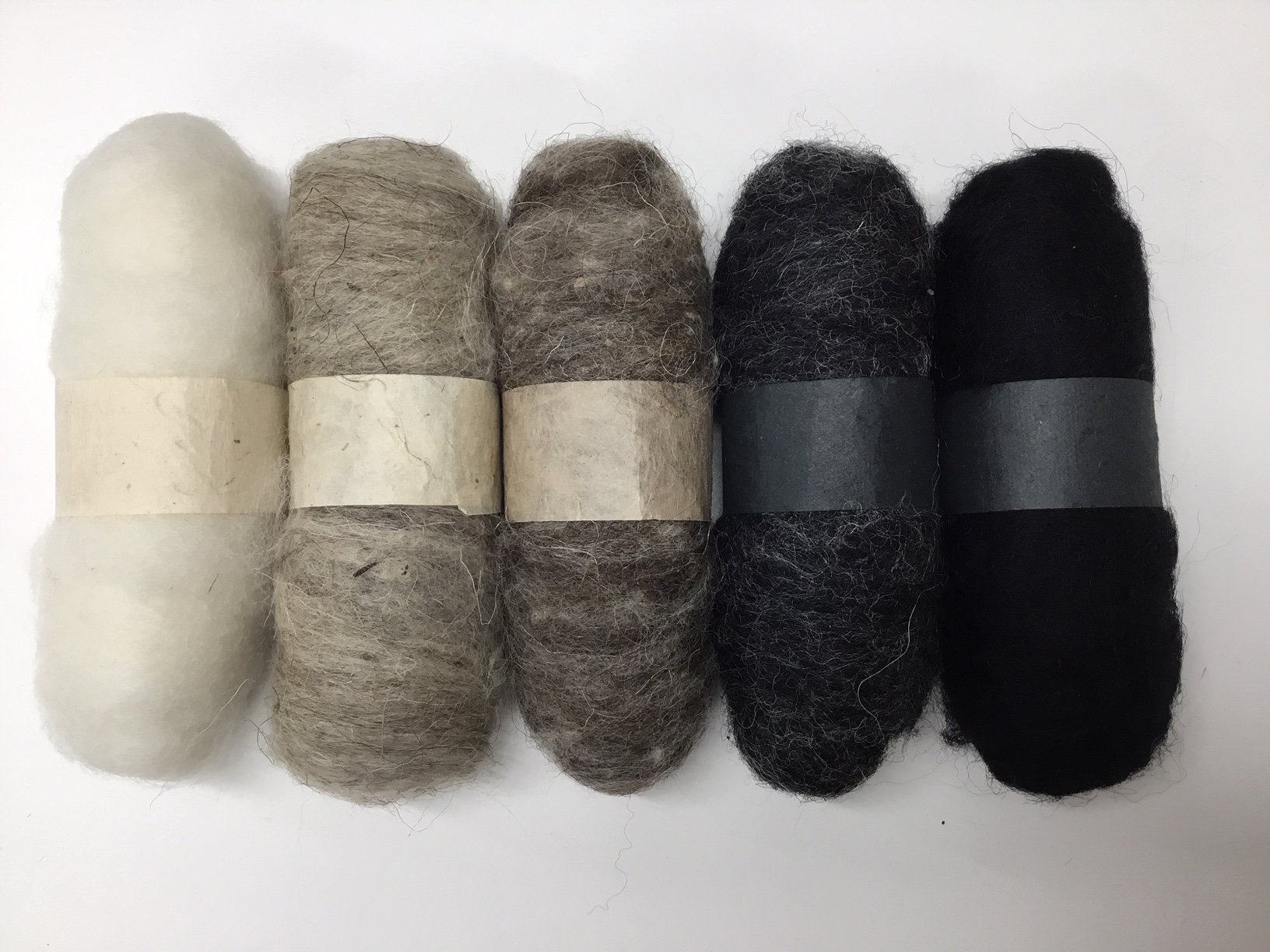 Wool Tops - 5 x 20g Pack of Naturals - Coast & Country