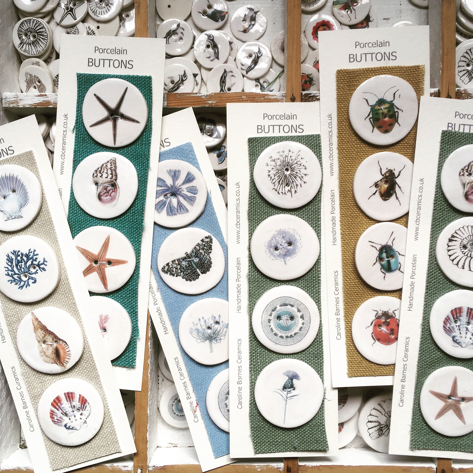 Bee & Bugs Ceramic Button Set - Coast & Country